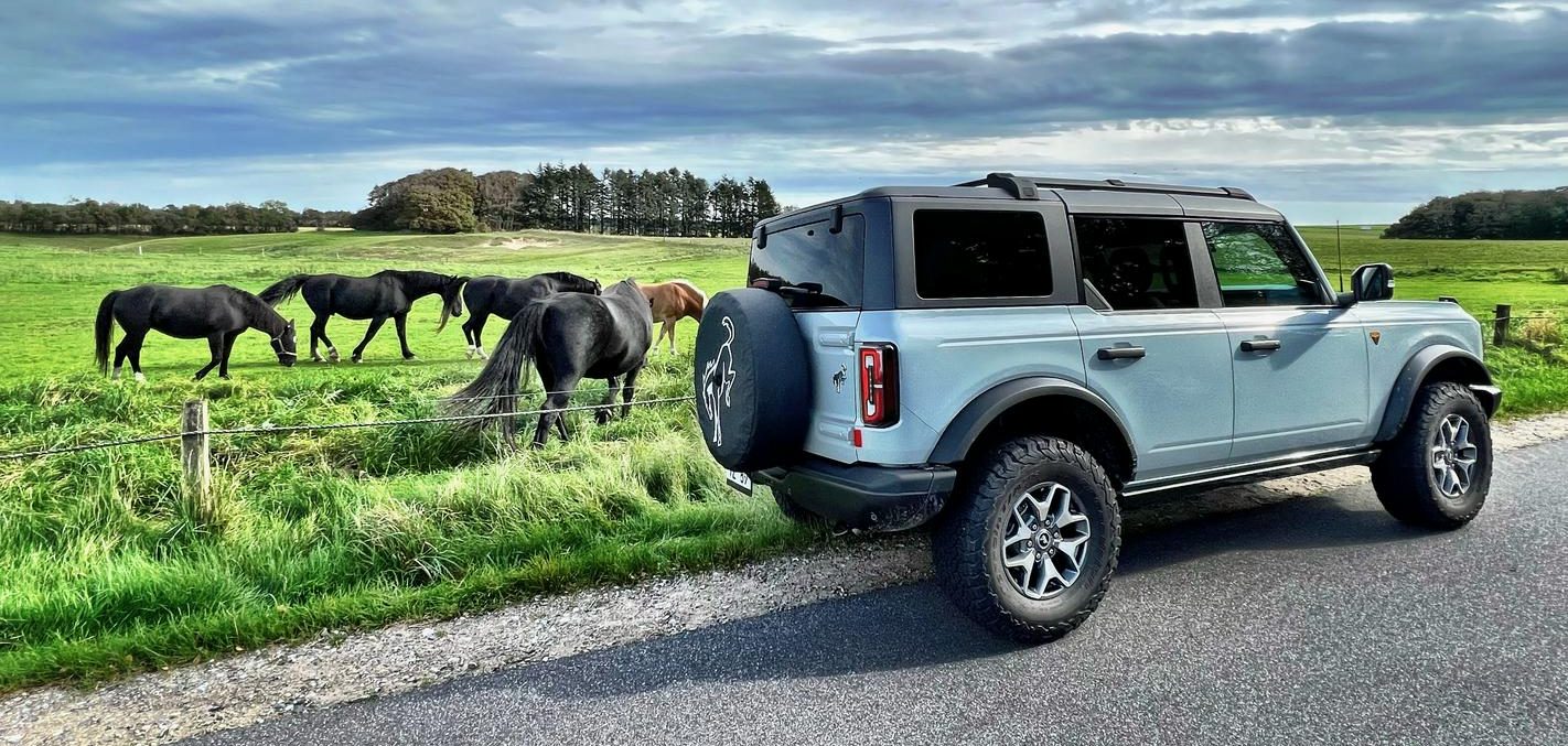 Ford Magazine - Ford Bronco: talent med terenci - Ford Magazine